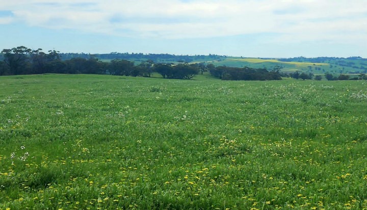 Sub Divisions & Land – Garland International